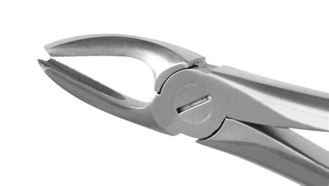 Image result for Tooth Extraction Forcep PHY