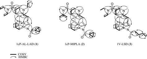 Image result for Pro Comp LSD