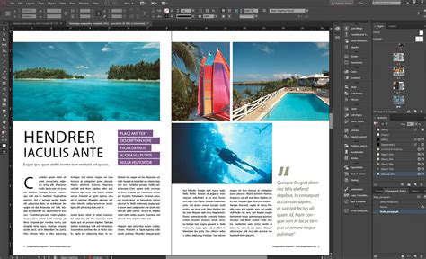 Image result for Adobe InDesign Use