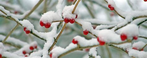 Image result for My BSF Lessons Notes and Lecture