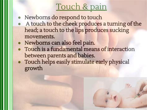 Image result for Perceptual Development Definition