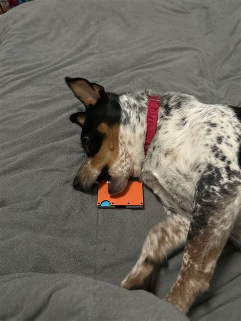 Image result for Ridge Wallet Backpack