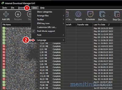 Image result for IDM Language Setting