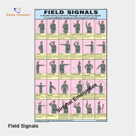 Image result for Signal Number Chart