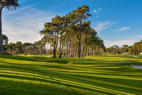 Image result for TPC Harding Park Golf Course