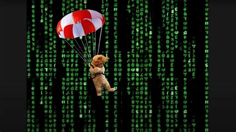 Image result for Software Developer Short Film Episode 1