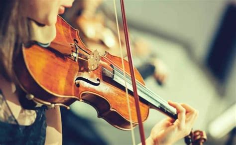 5 String Instruments In An Orchestra - MusicalHow