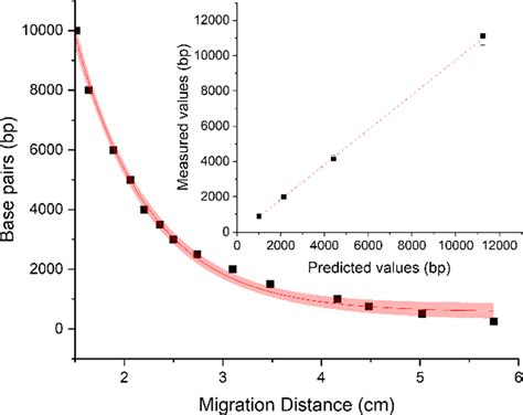 Image result for Distal Control Elements