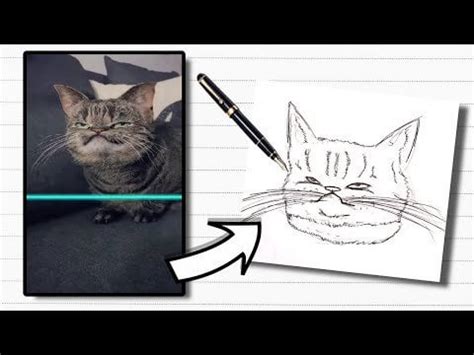 Image result for Time Warp Scan Pets