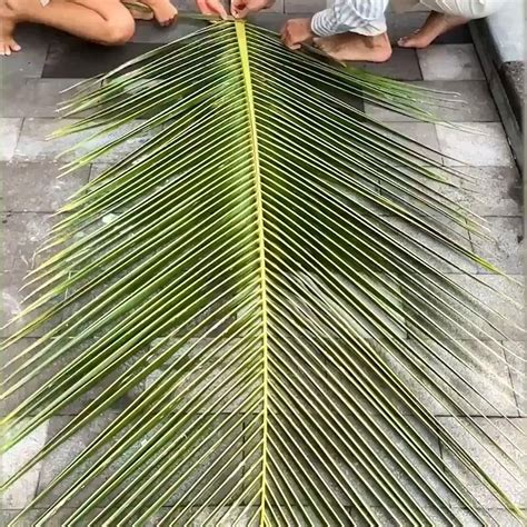 Image result for Primitive WC