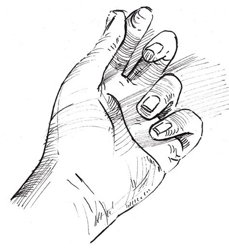 Image result for Daily Drawing Exercise for Beginners