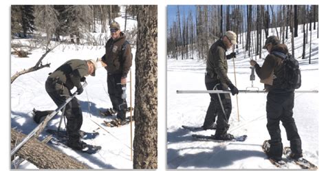 Image result for Snow Sampling