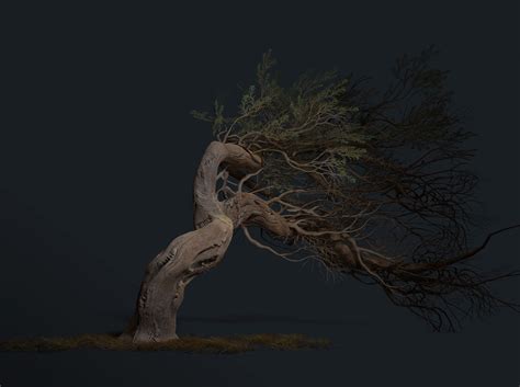 Image result for Tree Texture Maya