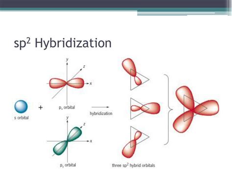 PPT - Hybridization PowerPoint Presentation, free download - ID:2093658