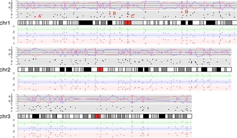 Genome-Wide Human SNP Array 6.0, CNV analysis