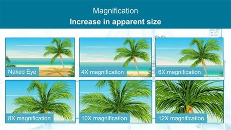 Image result for Magnification Microscope