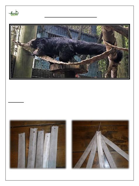 Image result for 5 Strand Braid Tutorial