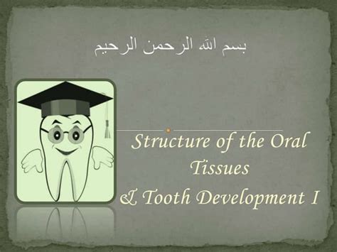 Image result for Tooth Development Video