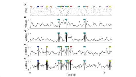 Image result for Spike Clues Part Experiments