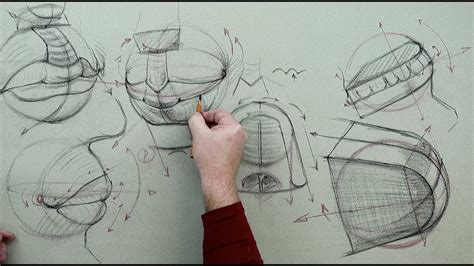 Anatomy Of Lips Drawing | Lipstutorial.org
