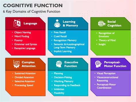 Image result for Cognitive Function