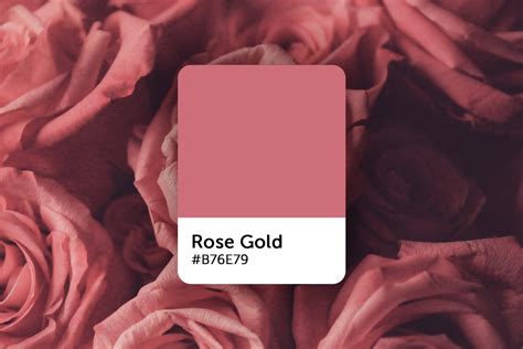Image result for Rose Gold Color Code RGB