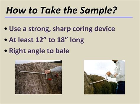 Image result for Sampling Feed