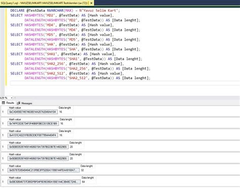 Image result for Encrypt the Password or Mask SQL