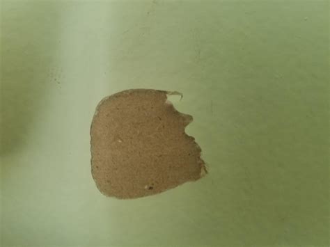 Image result for How to Clean a Wind Machine Lasko