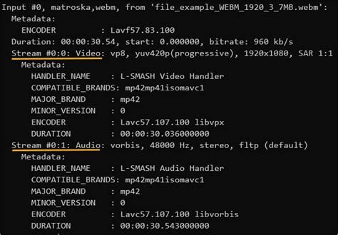 Image result for C View Video with Using Ffmpeg Sample