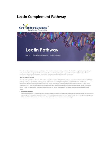 Image result for Lectin Pathway of the Complement System