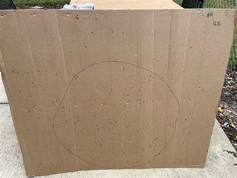 Image result for Patterning Shotgun with Boss Shot Shells