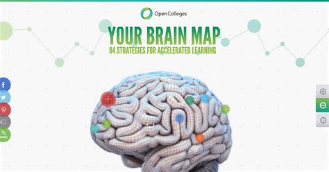 Image result for Brain Map