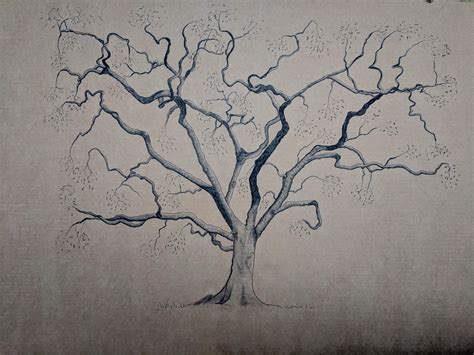 Image result for Cardboard Tree Drawing