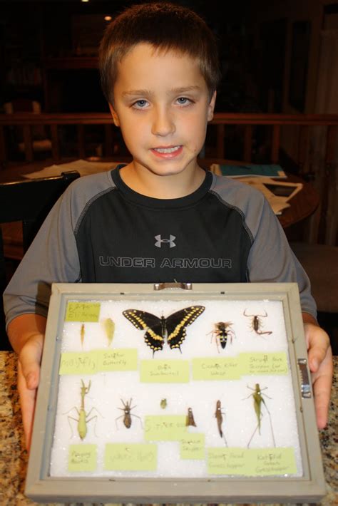 Image result for 3rd Grade Science Project Display