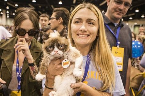 Image result for Grumpy Cat Owner