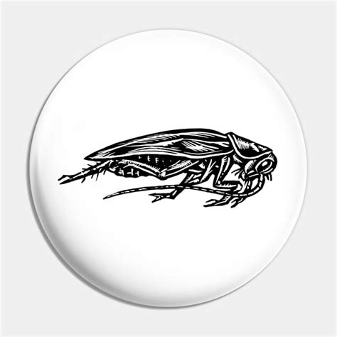 Image result for Cockroach Side View