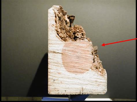 Image result for Decayed Timber Splice Connection