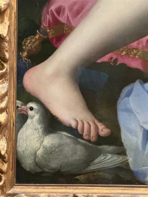 Image result for Python Foot