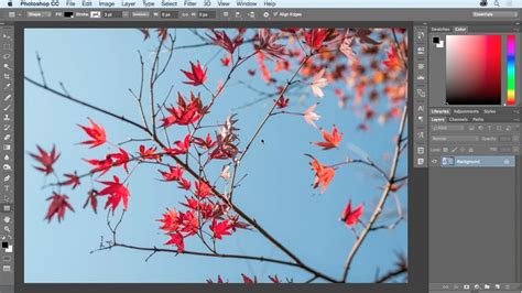 Image result for Adobe Photoshop CC Tutorials