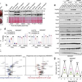 Image result for Below Threshold Reprogramming