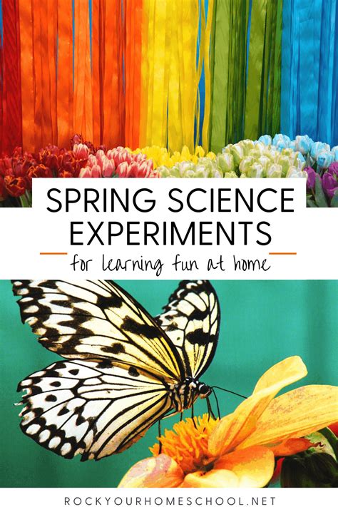 Image result for Spring Experiment