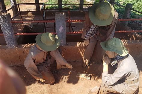 Image result for Tan Excursion