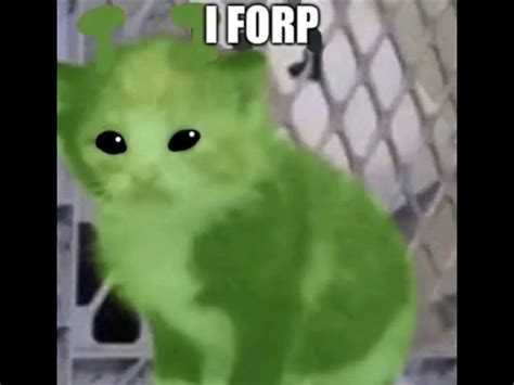 Image result for Alien Cat Meme Origin
