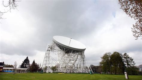 Image result for Alien Suche