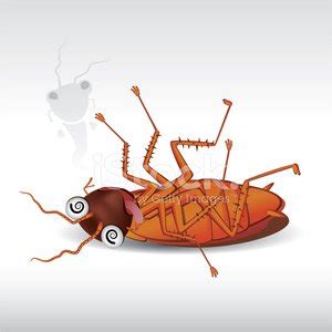 Cockroach Cartoon Characters | Royalty-Free Vector Stock | FreeImages