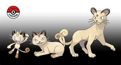 Image result for Meowth Evolution Chart