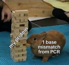 Image result for GenScript Protein Expression and Purification Challenges