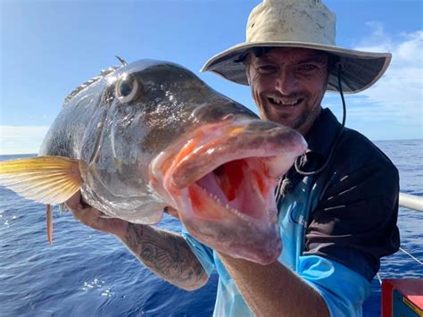 Image result for Reef Fishing Tips