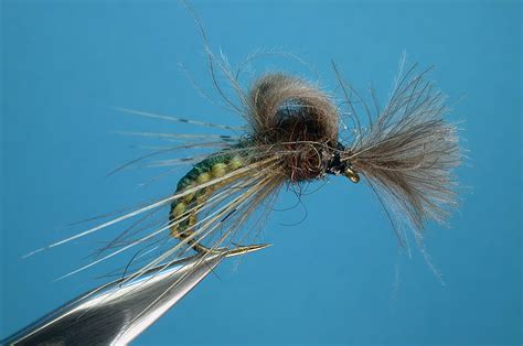 Image result for Caddies Emerger Fly Pattern